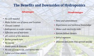 Hydroponics Farming - verticalgreenfarms